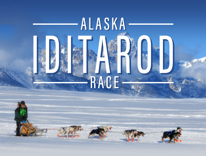 Alaska Iditarod Race
